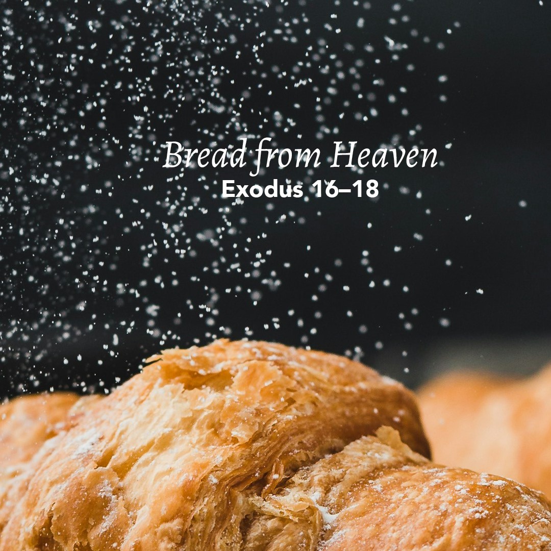 Exodus 16-18: Bread from Heaven – God Centered Life
