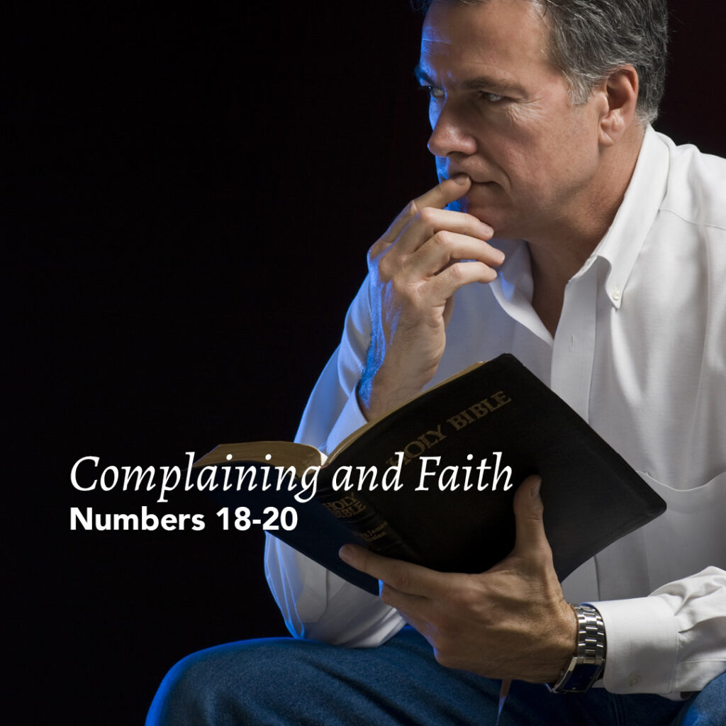 Numbers 18-20: Complaining and Faith – God Centered Life