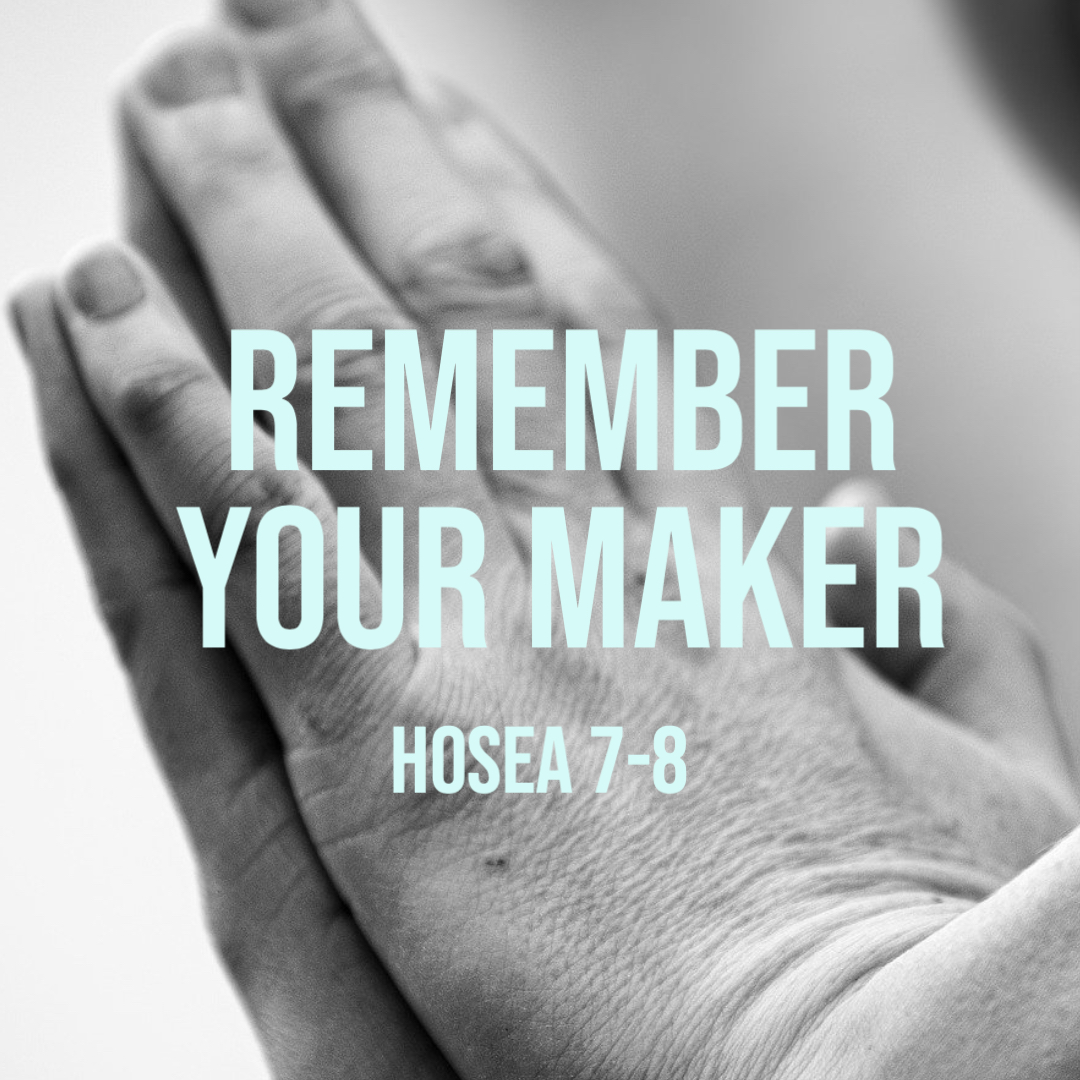 Hosea 7-8: Remember Your Maker – God Centered Life