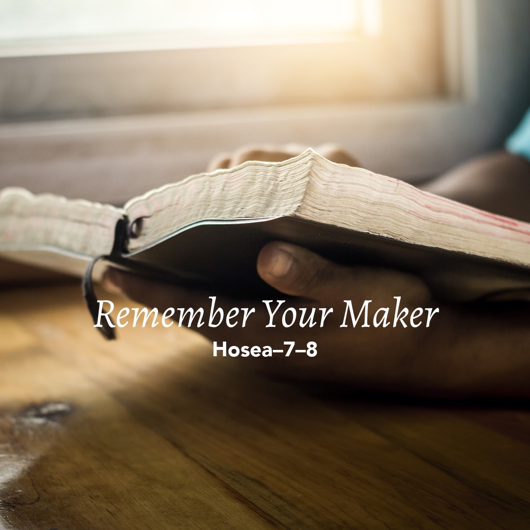 Hosea 7-8: Remember Your Maker – God Centered Life