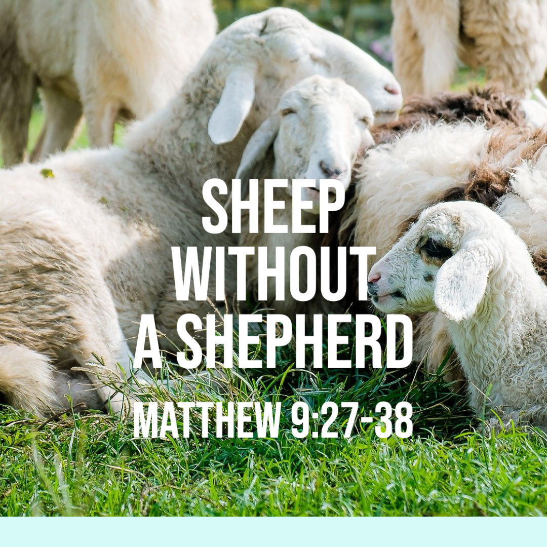 Matthew 9:27-38: Sheep Without a Shepherd – God Centered Life