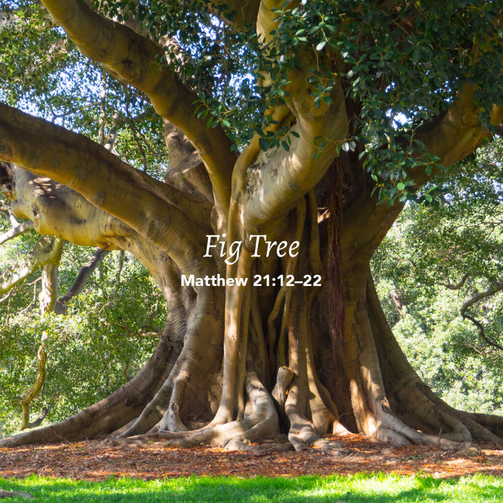 Matthew 21:12-22: Fig Tree – God Centered Life
