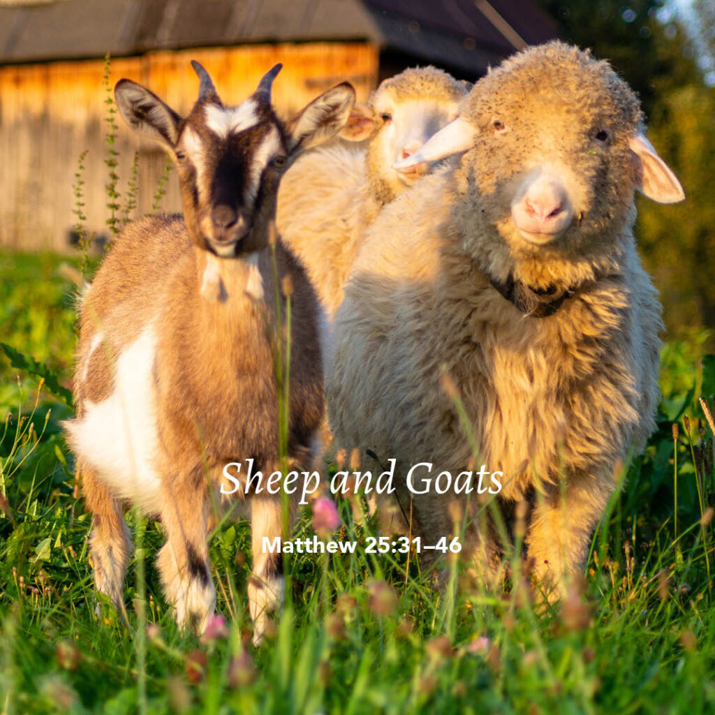 Matthew 25:31-46: Sheep and Goats – God Centered Life