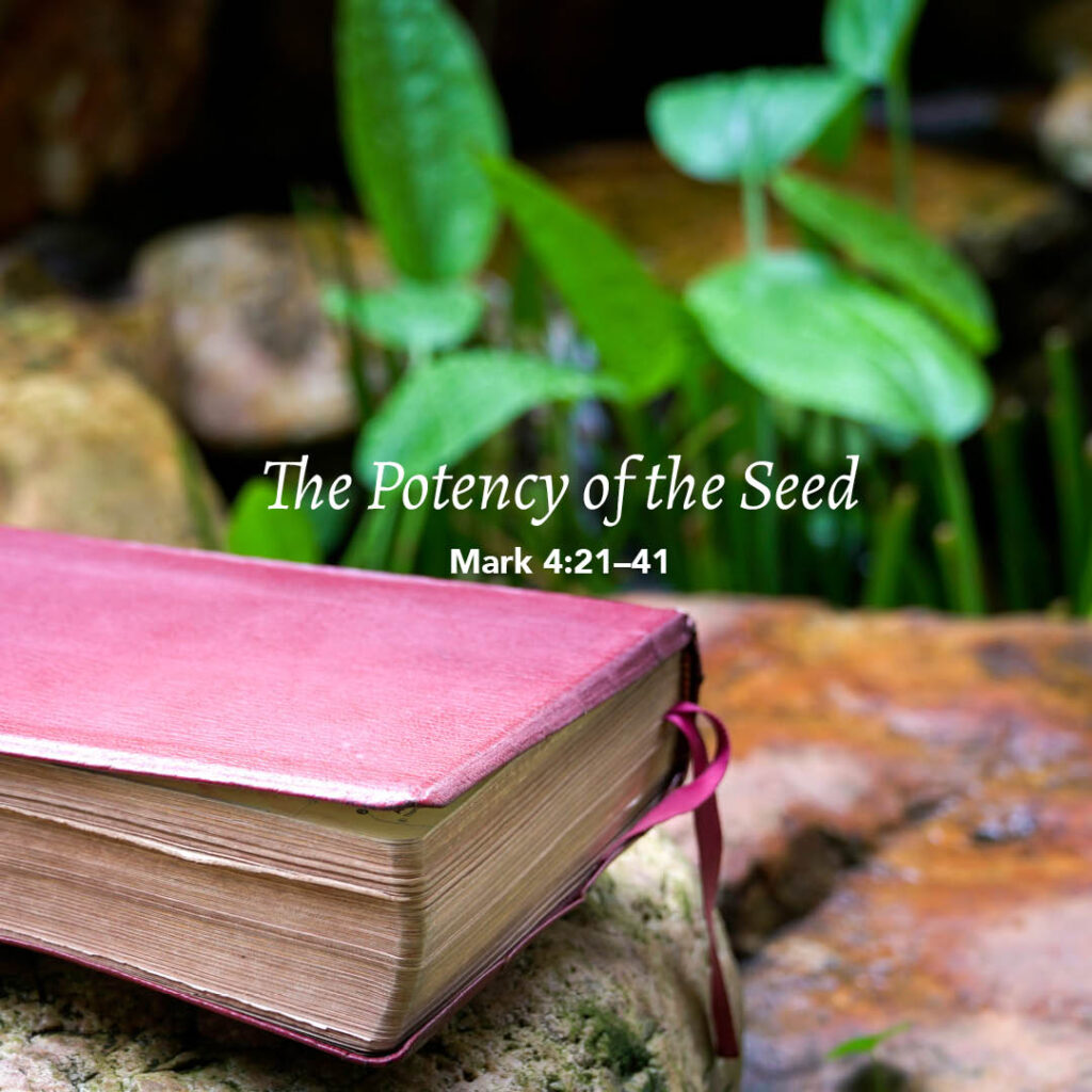 Mark 4:21-41: The Potency of the Seed – God Centered Life
