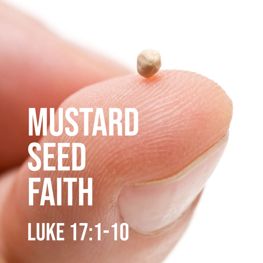 Luke 17 1 10 Mustard Seed Faith God Centered Life