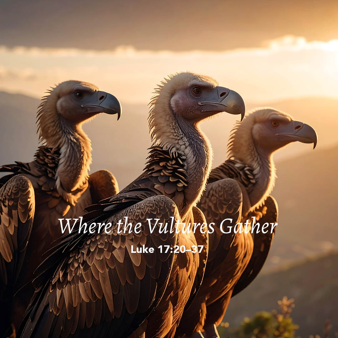 Luke 17:20-37: Where the Vultures Gather – God Centered Life