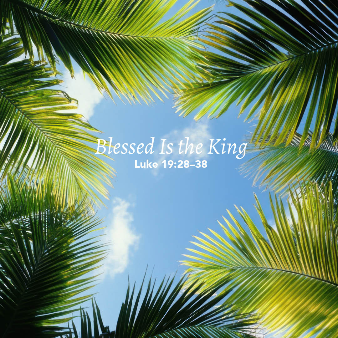 Luke 19:28-38: Blessed Is the King – God Centered Life