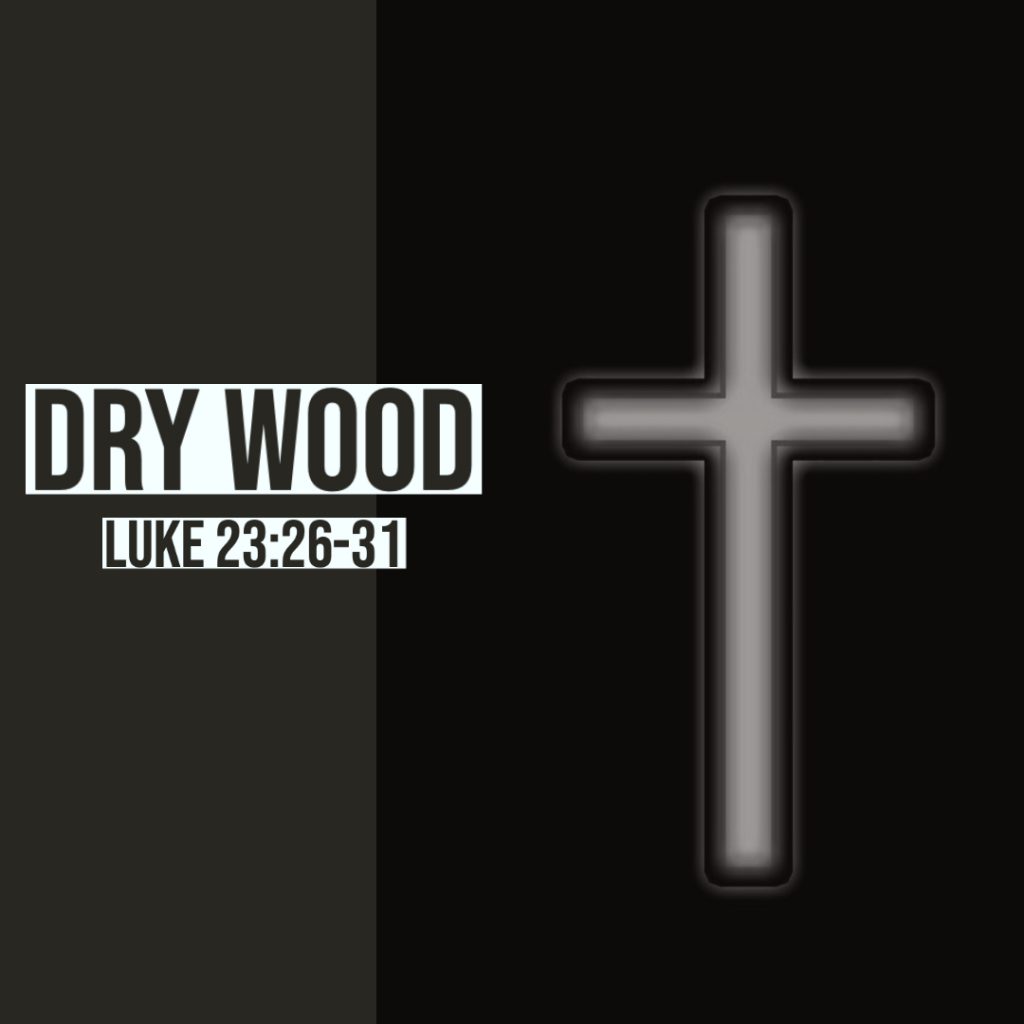 Luke 23 26 31 Dry Wood God Centered Life Luke 23 26 31 Dry Wood God Centered Life