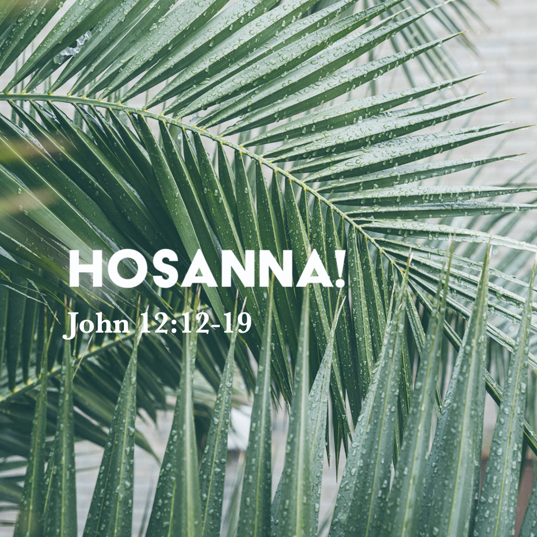 John 12:12-19: Hosanna! – God Centered Life