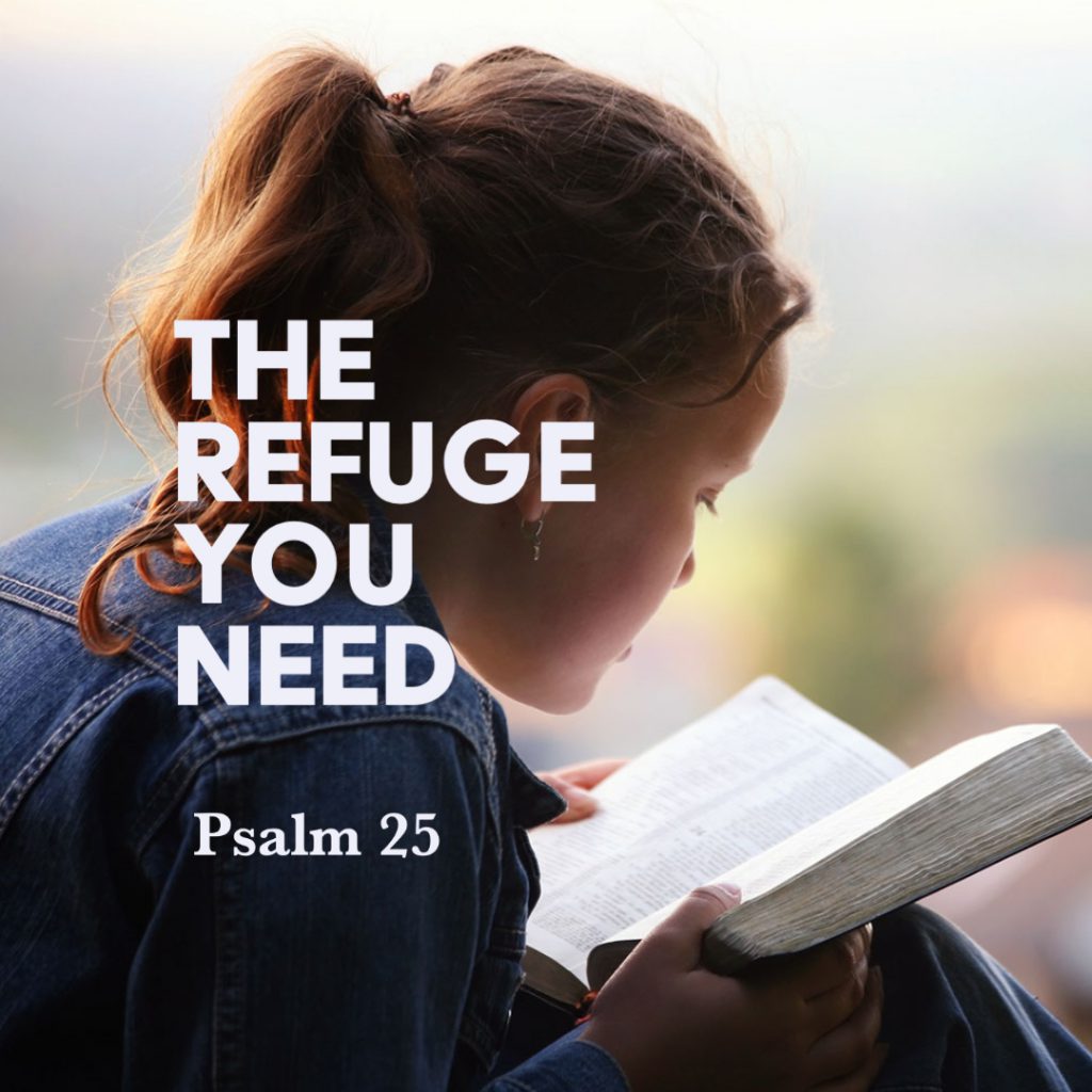 Psalm 25: The Refuge You Need – God Centered Life