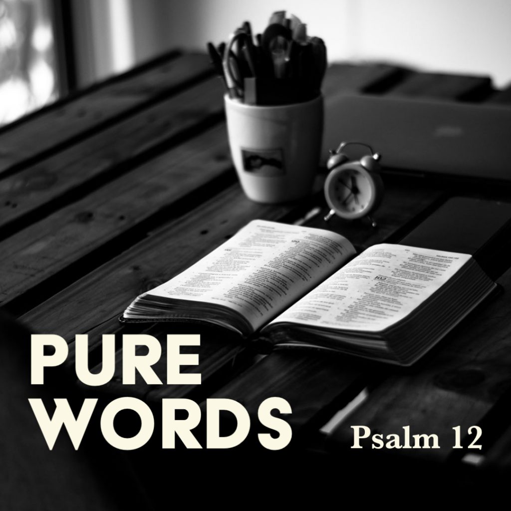 Psalm 12: Pure Words – God Centered Life
