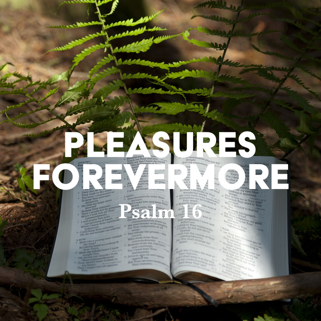 Psalm 16: Pleasures Forevermore – God Centered Life