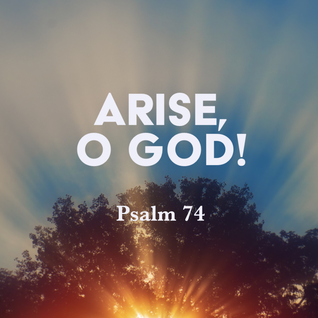 Psalm 74: Arise, O God! – God Centered Life