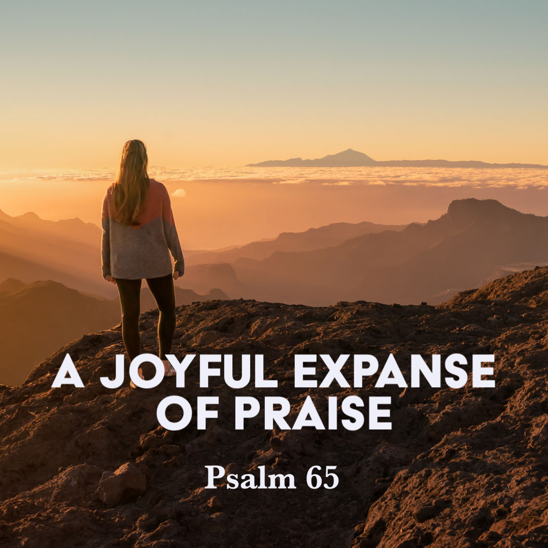 Psalm 65: A Joyful Expanse of Praise – God Centered Life
