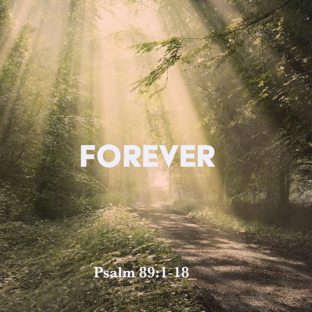 Psalm 89 1 18 Forever God Centered Life Psalm 89 1 18 Forever God Centered Life