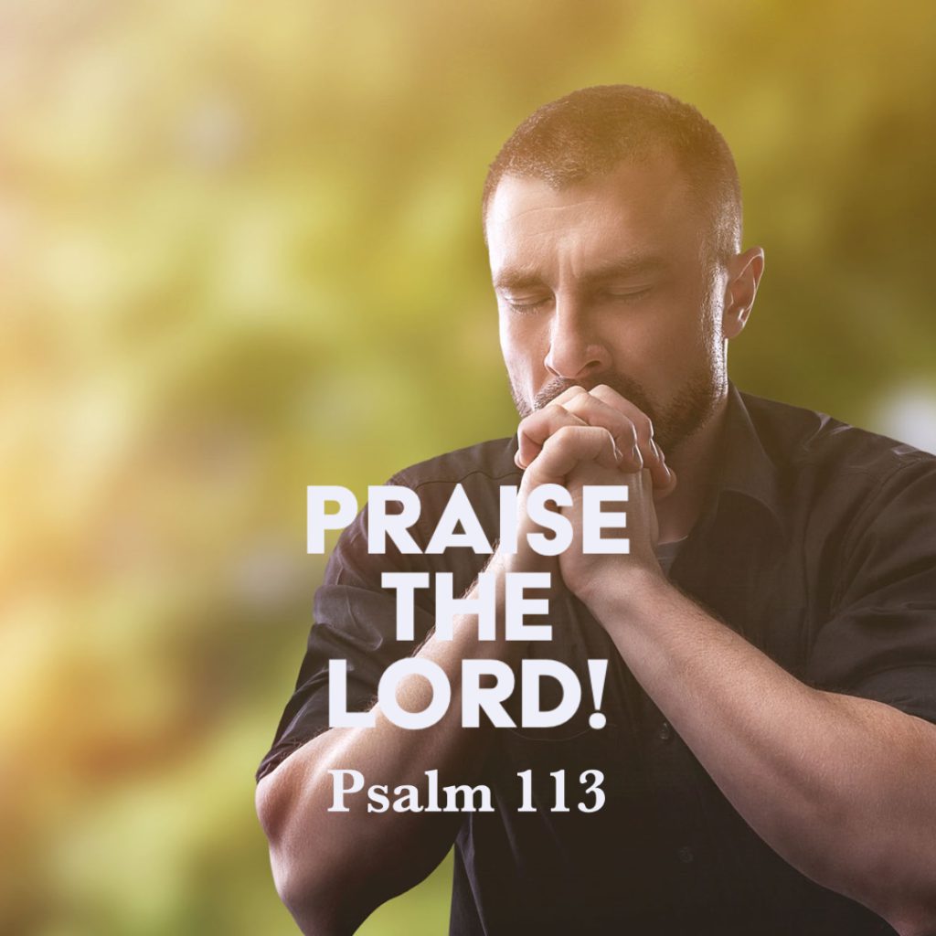 Psalm 113 Praise The Lord God Centered Life