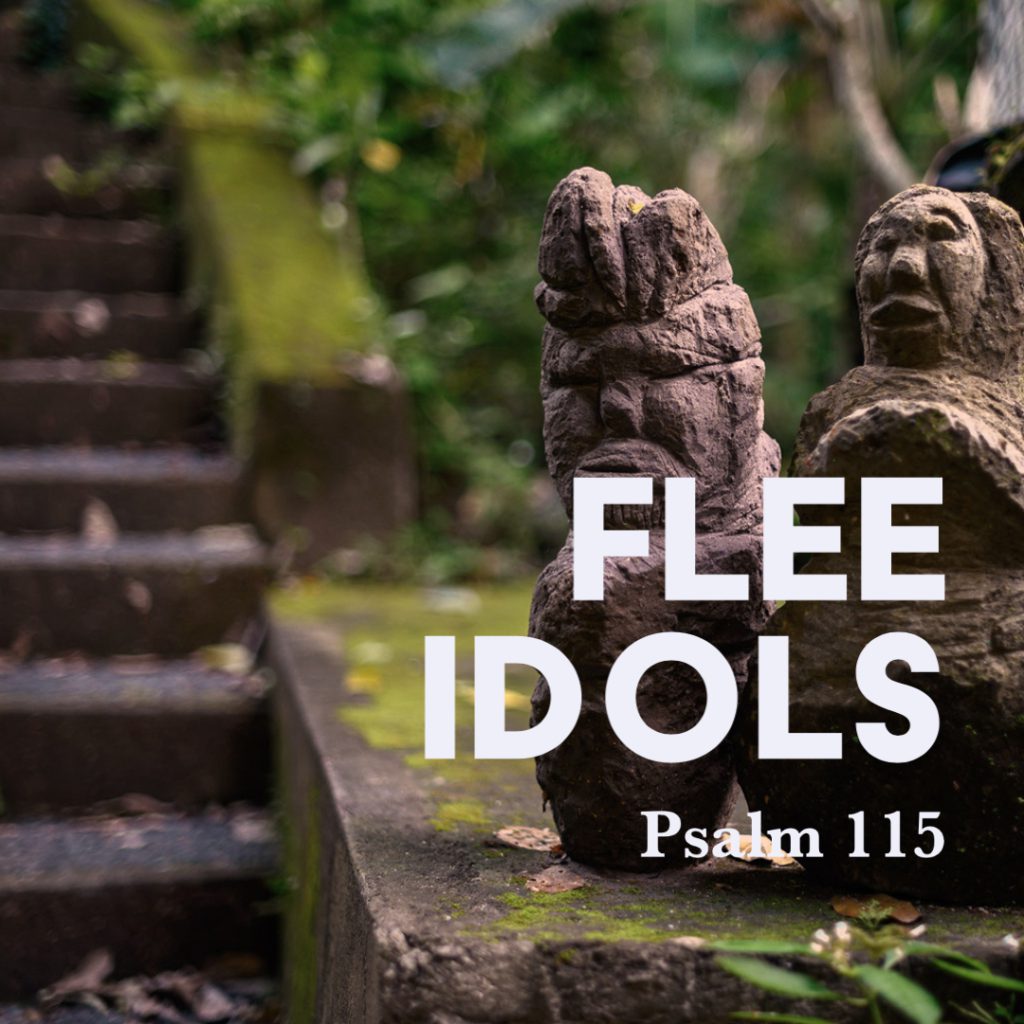 Psalm 115: Flee Idols – God Centered Life