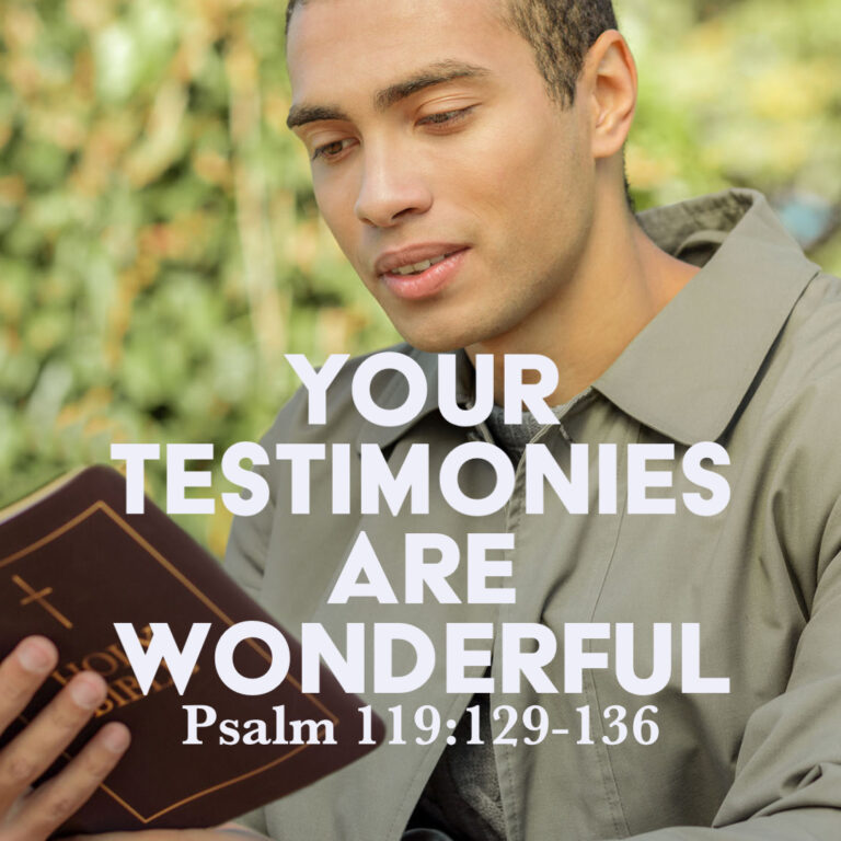 Psalm 119:129-136: Your Testimonies Are Wonderful – God Centered Life