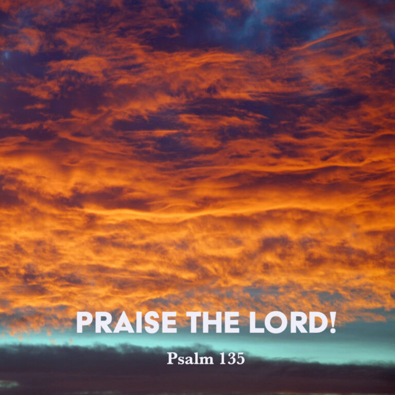 Psalm 135: Praise the Lord! - God Centered Life