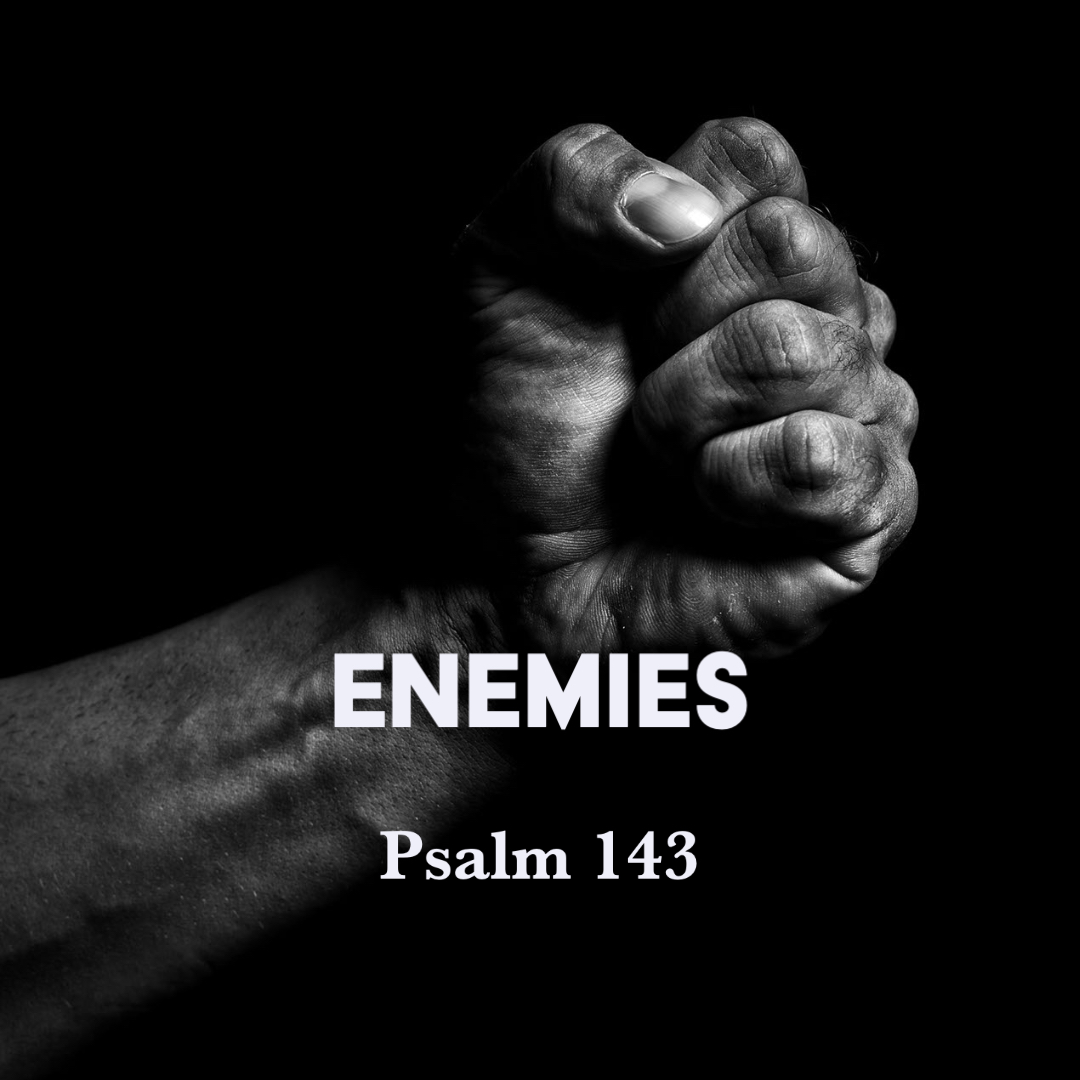 Psalm 143: Enemies – God Centered Life