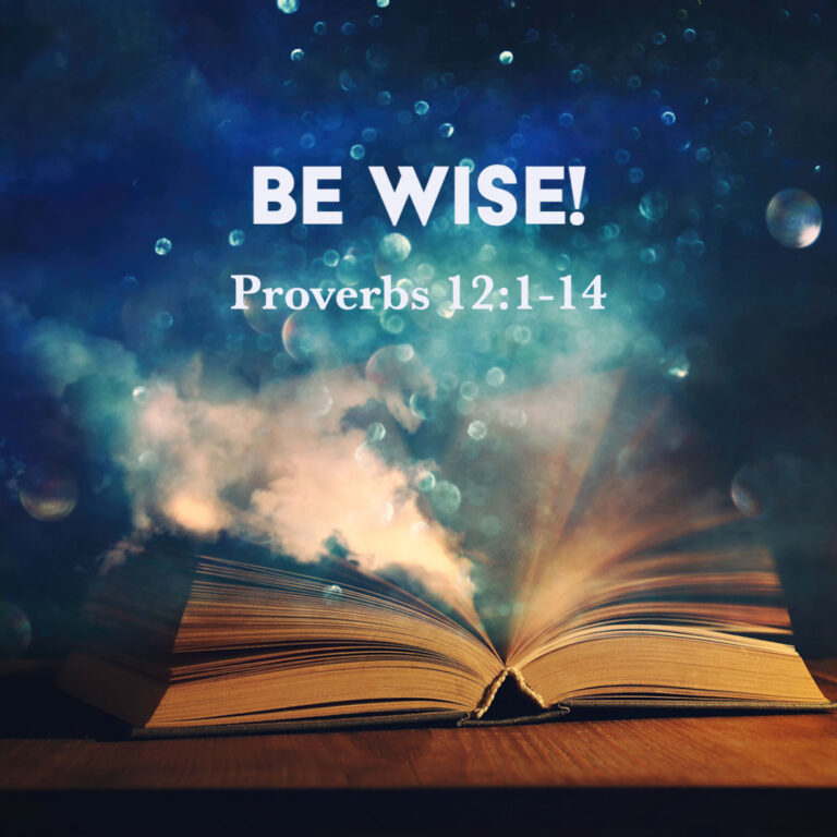 Proverbs 12:1-14: Be Wise! – God Centered Life