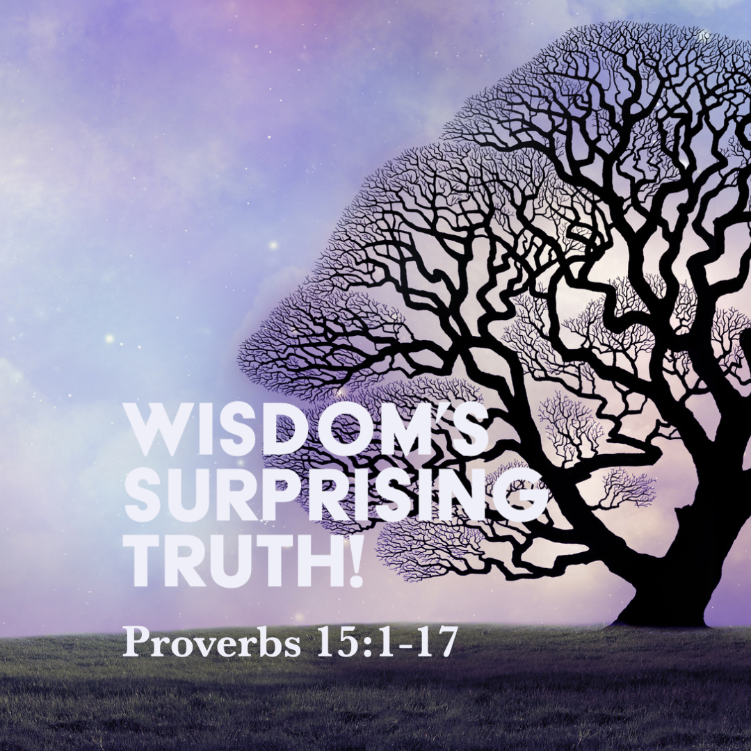 Proverbs 15 1 17 Wisdom s Surprising Truth God Centered Life