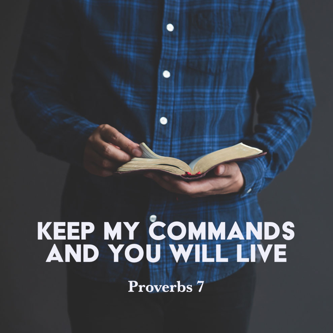 Proverbs 7: Keep My Commands and You Will Live – God Centered Life