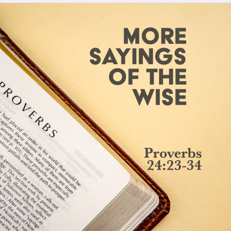 Proverbs 24:23-34: More Sayings of the Wise – God Centered Life