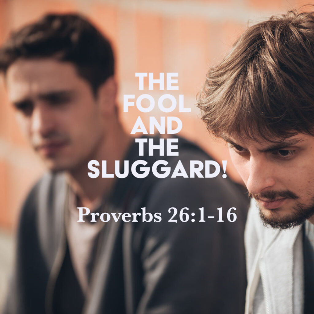 Proverbs 26:1-16: The Fool and the Sluggard! – God Centered Life