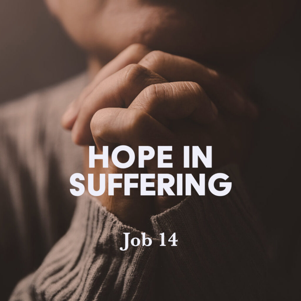 Job 14: Hope in Suffering – God Centered Life