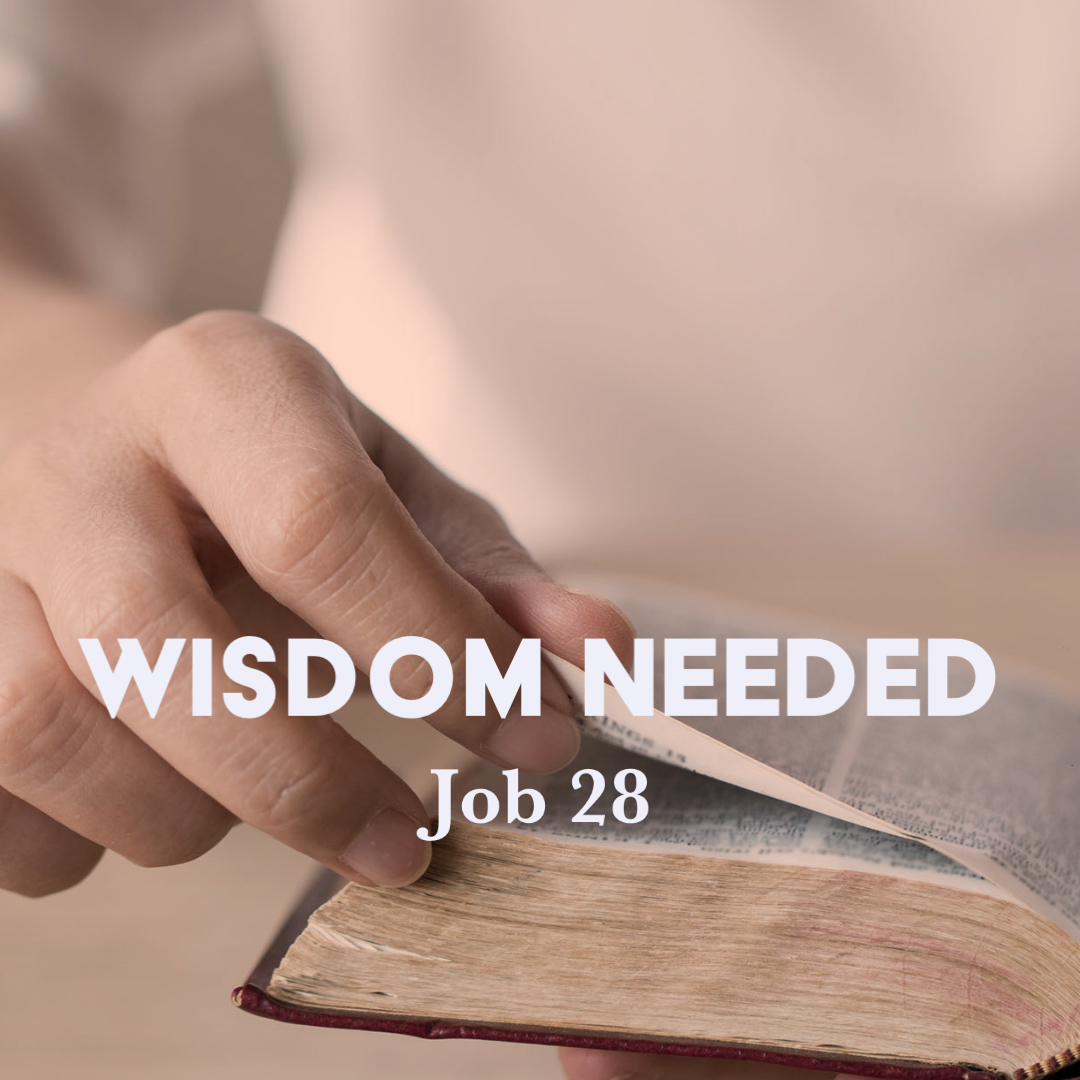 Job 28: Wisdom Needed – God Centered Life