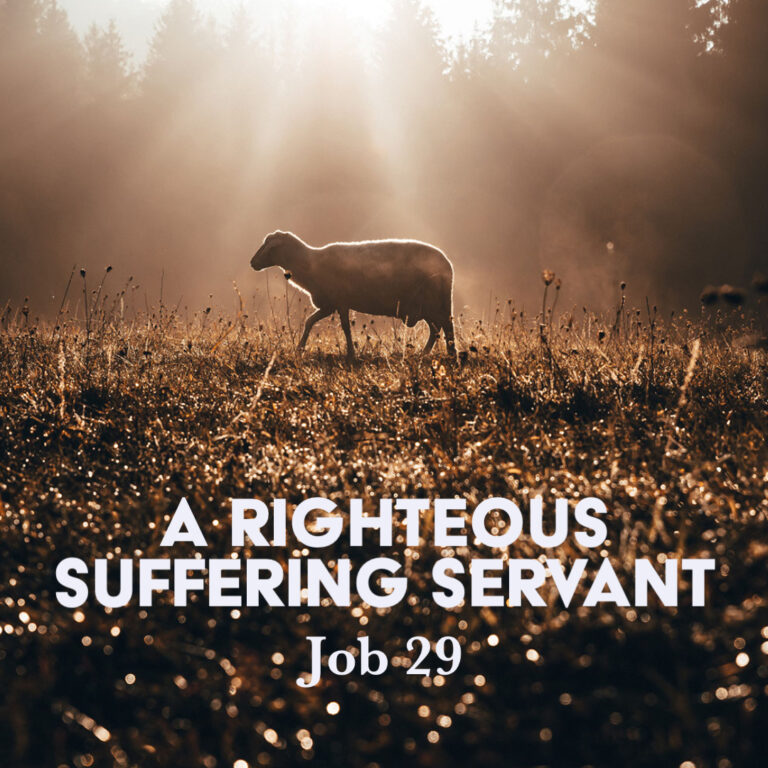 Job 29: A Righteous Suffering Servant – God Centered Life
