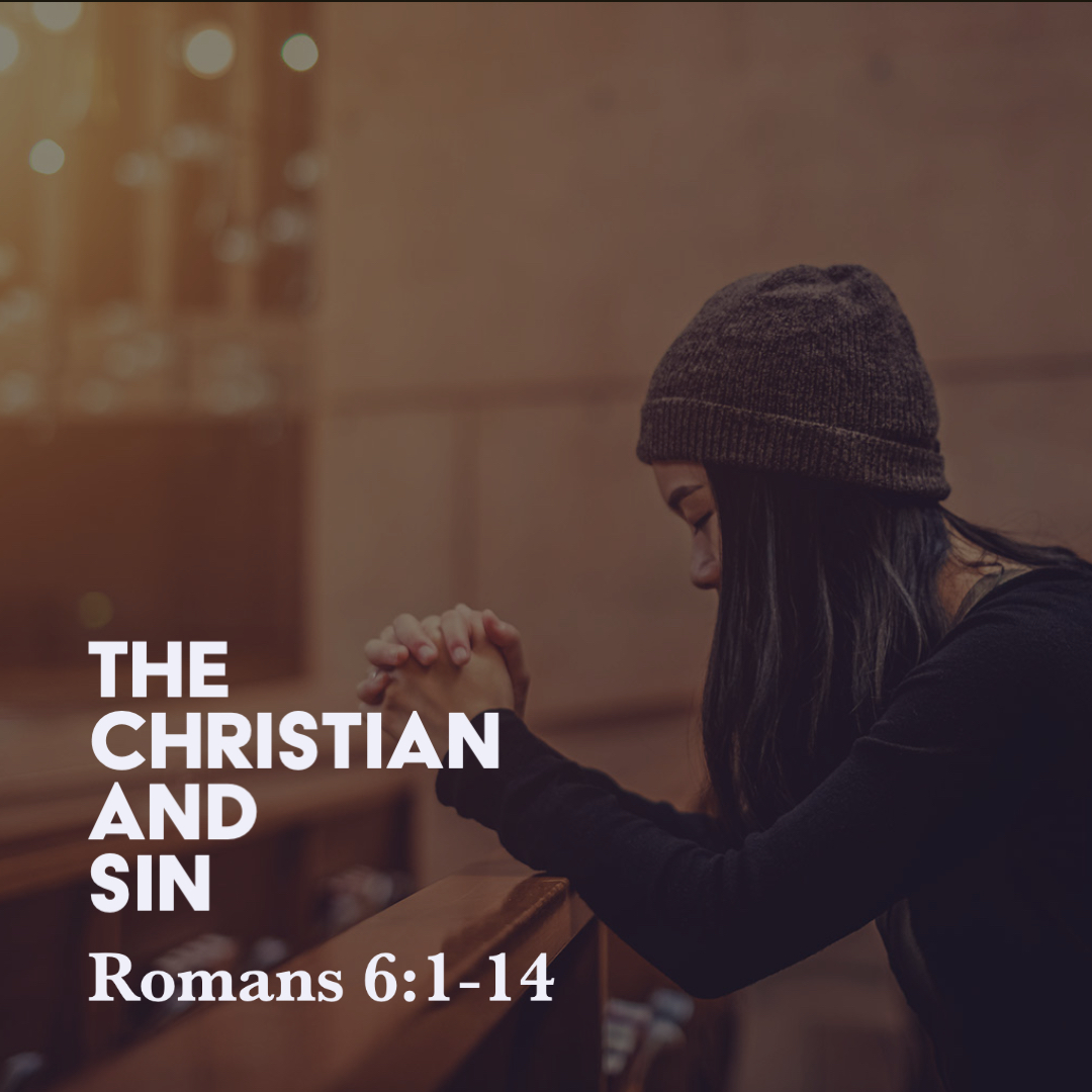 Romans 6 1 14 The Christian And Sin God Centered Life