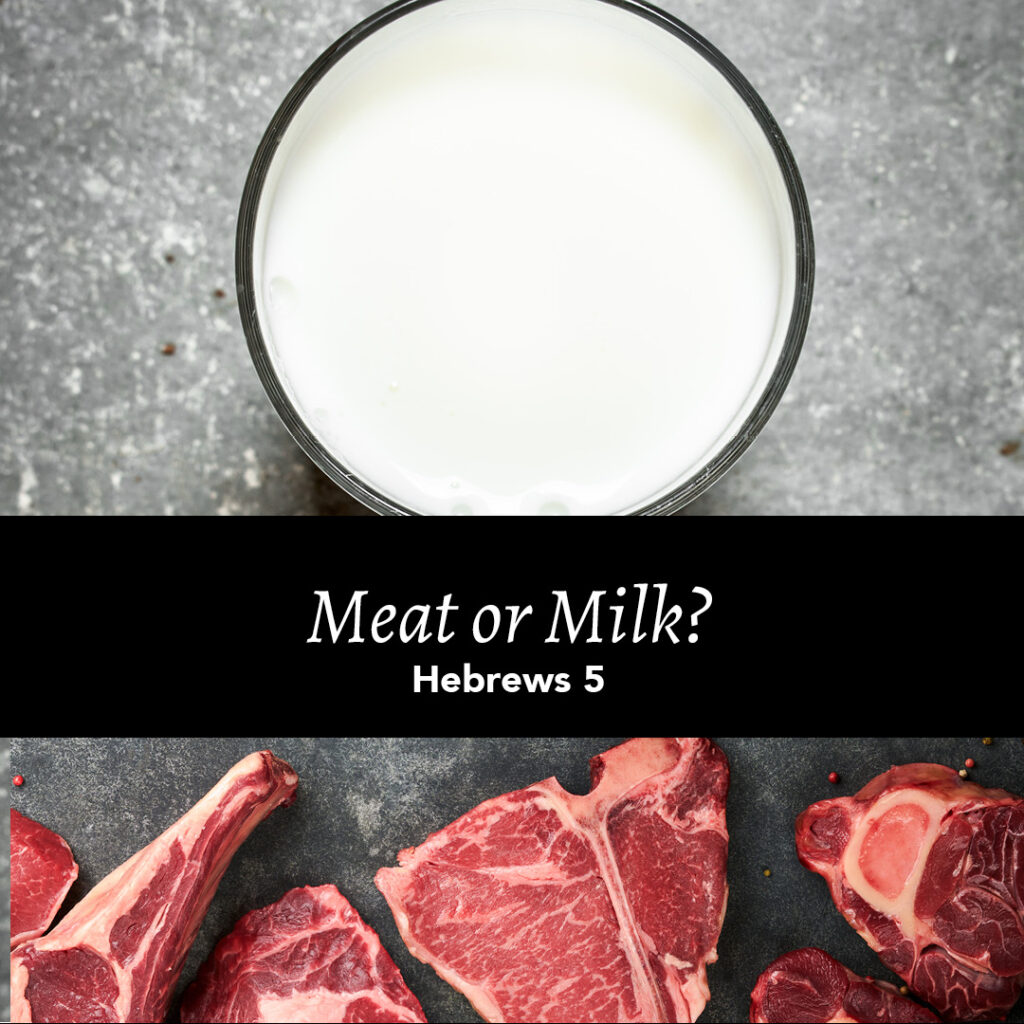 Hebrews 5: Meat or Milk? – God Centered Life