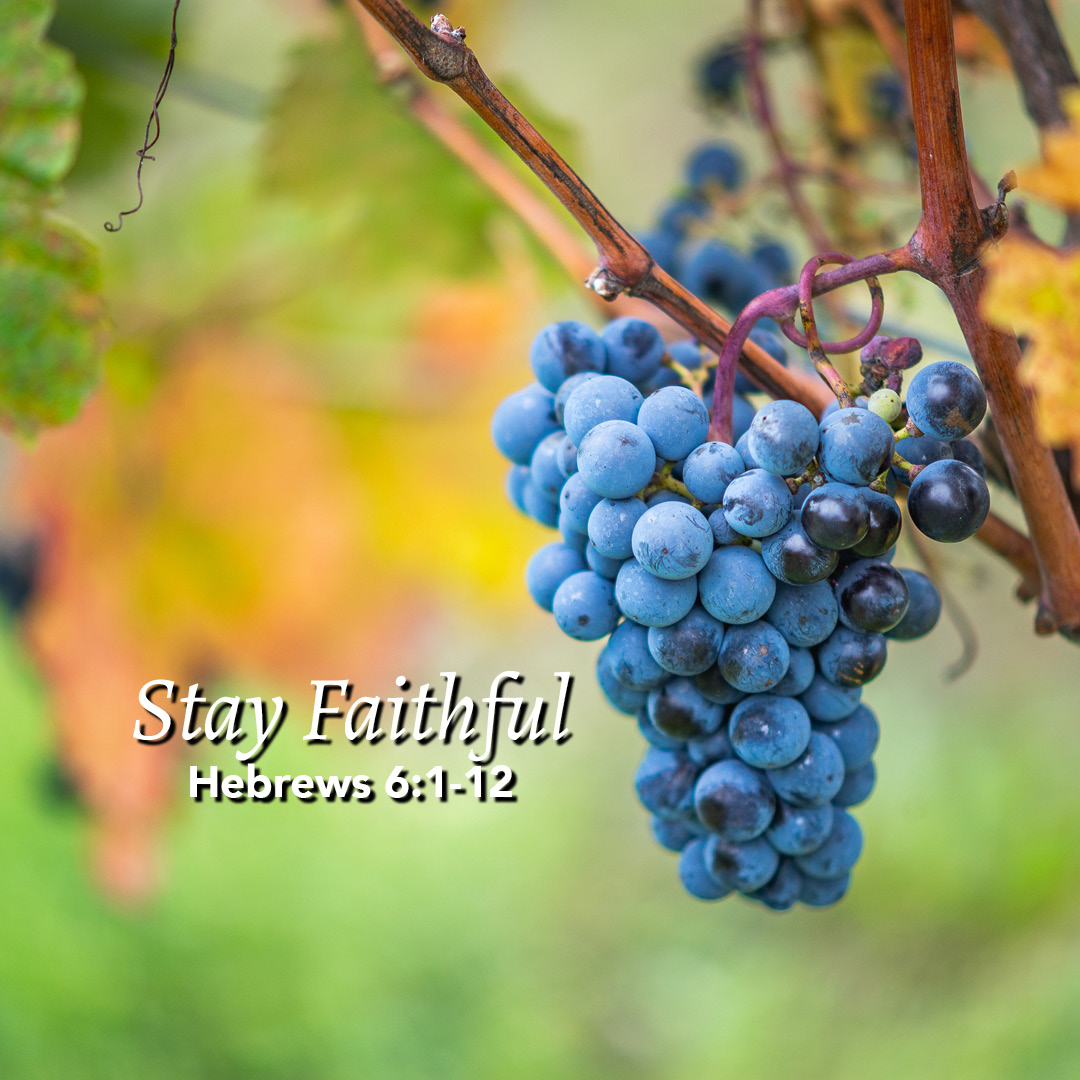 Hebrews 6:1-12: Stay Faithful - God Centered Life