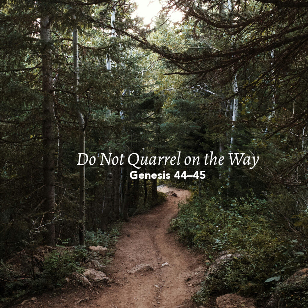 Genesis 44-45: Do Not Quarrel on the Way - God Centered Life