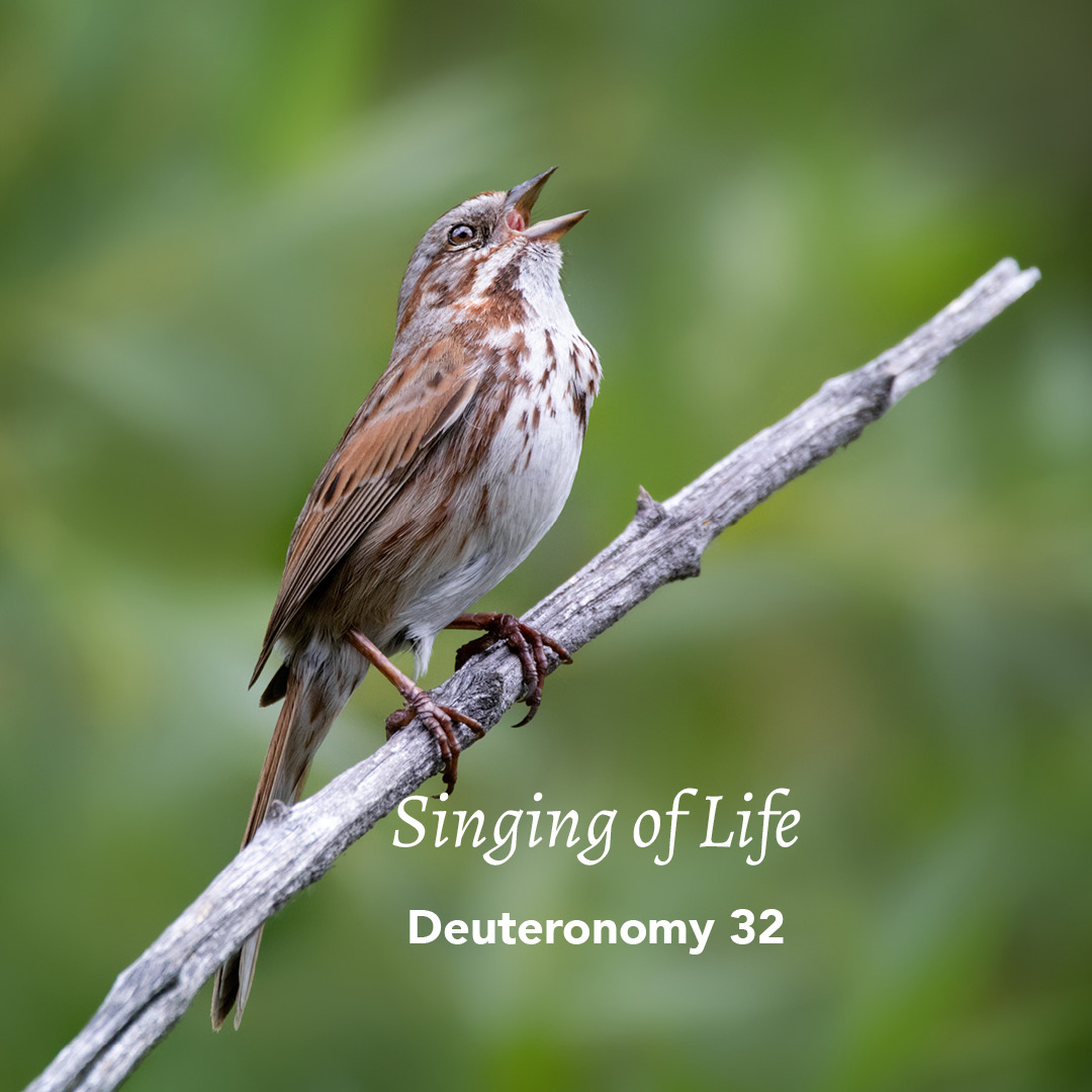Deuteronomy 32: Singing of Life - God Centered Life