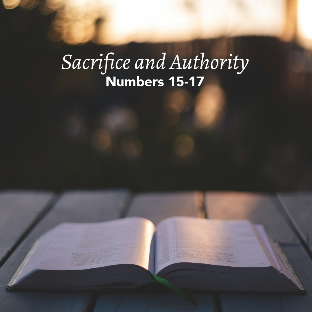 Numbers 15-17: Sacrifice and Authority – God Centered Life