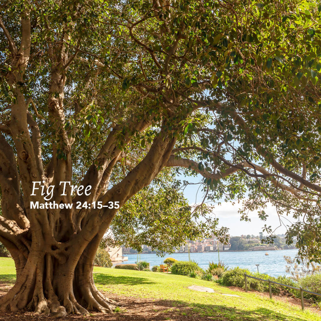 Matthew 24:15-35: Fig Tree – God Centered Life
