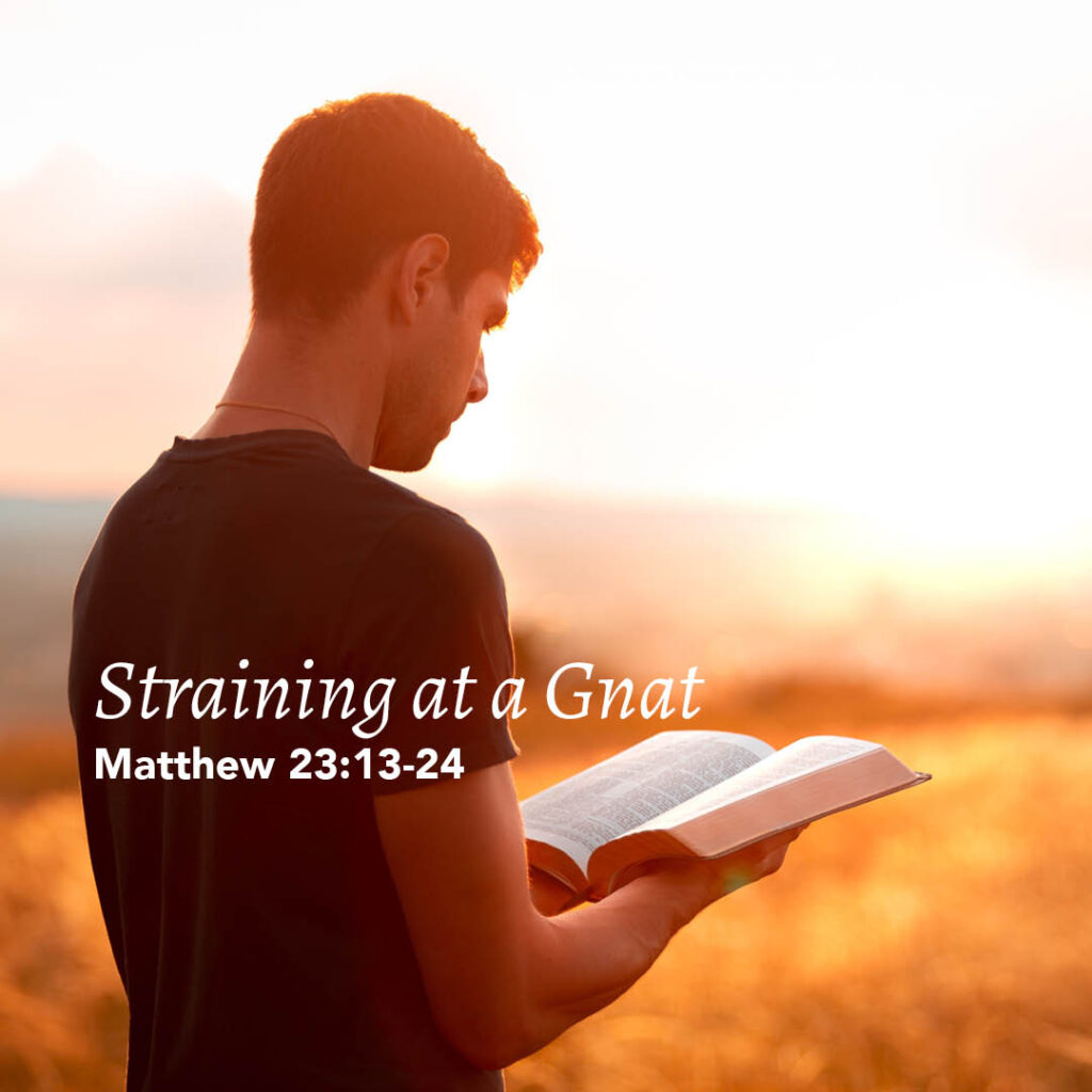 Matthew 23:13-24: Straining at a Gnat – God Centered Life